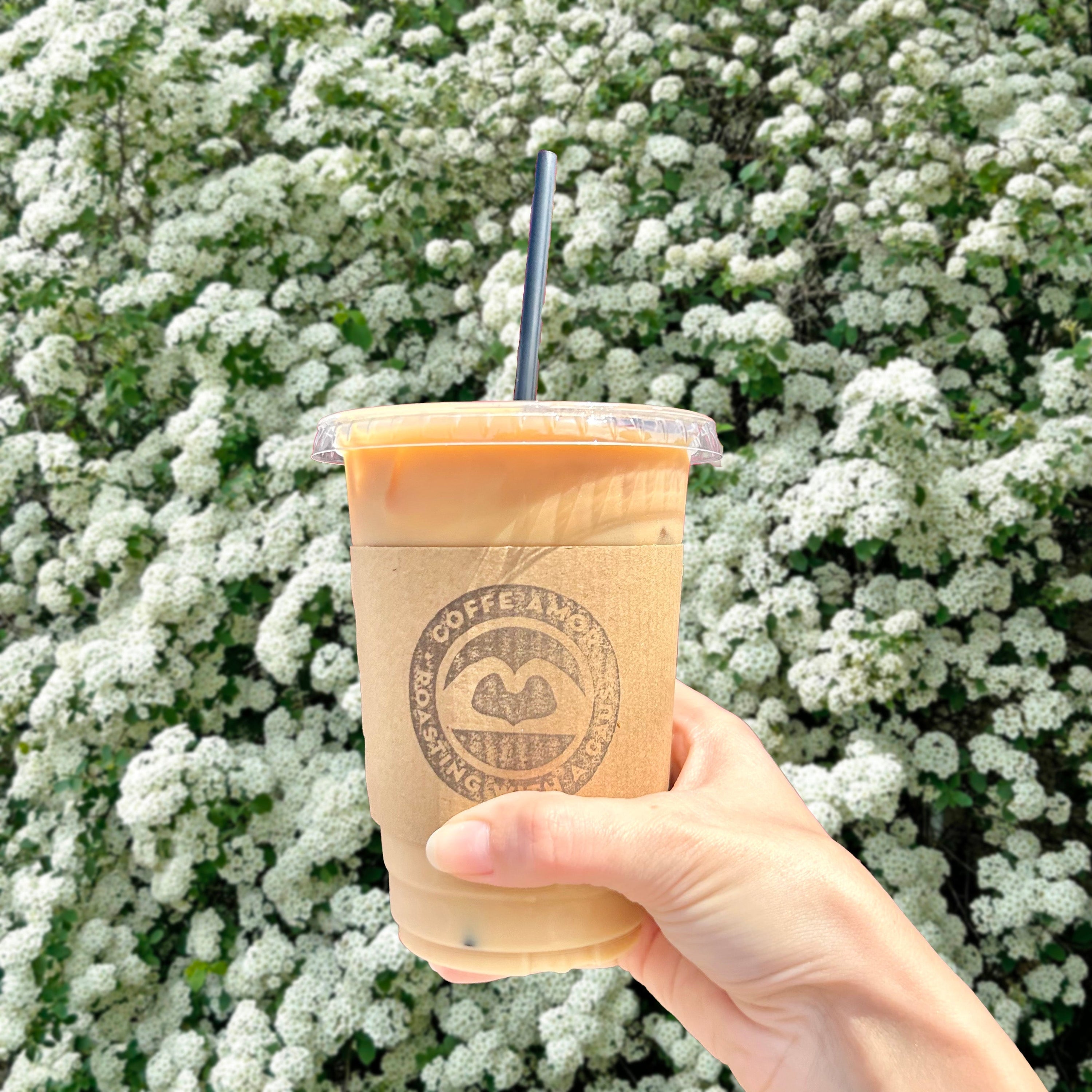 6 Best Spring Coffee Recipes to Try at Home – Coffe Amor